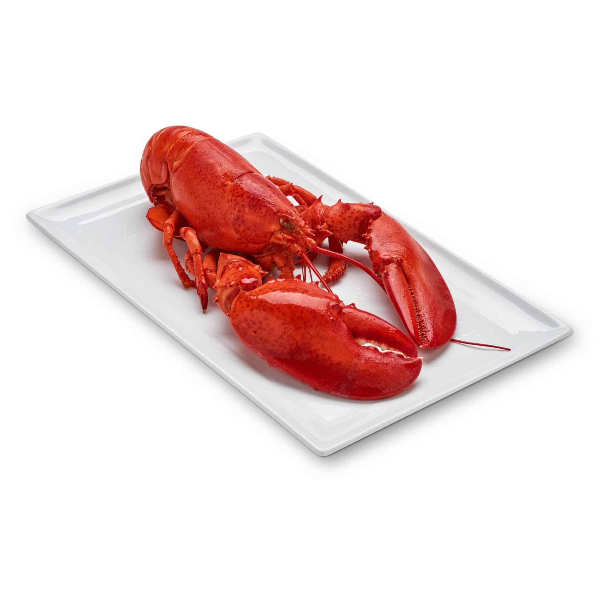 Bulk Lobster Meat for Weddings & Events | Klenda Seafood