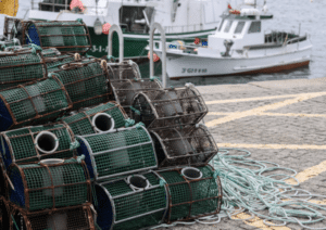 Klenda Seafood Inc. Lobster Fishing Regulations in Maine: A ...